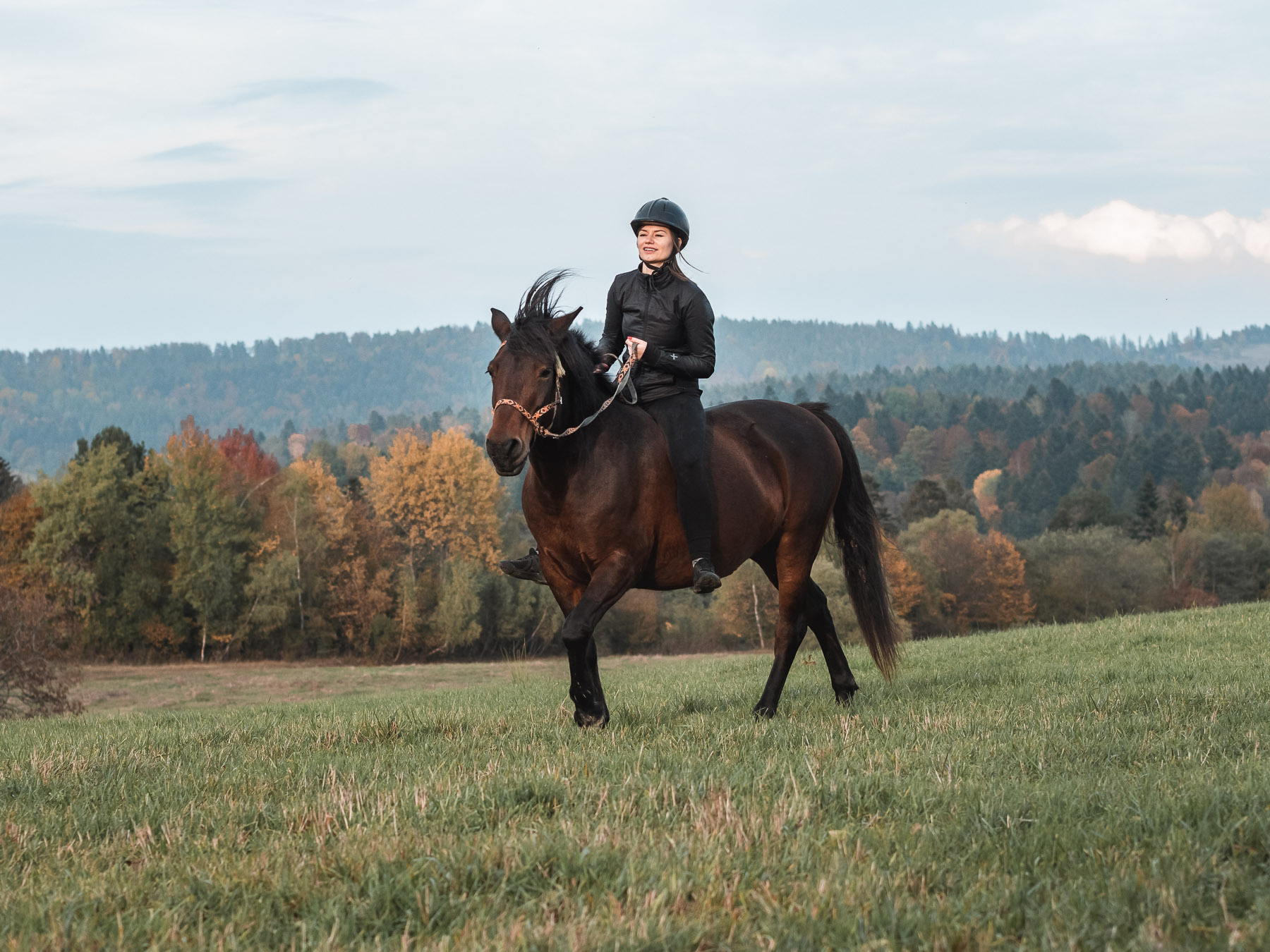 Immersion Équestre : Randonnée à Cheval dans les Bieszczady